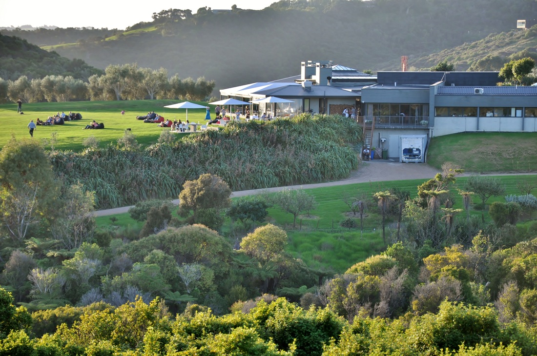 Cable Bay Vineyard Waiheke Dining, Cellar & Sunset Views eRide